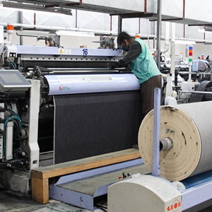 Argon Denims ltd. - Home